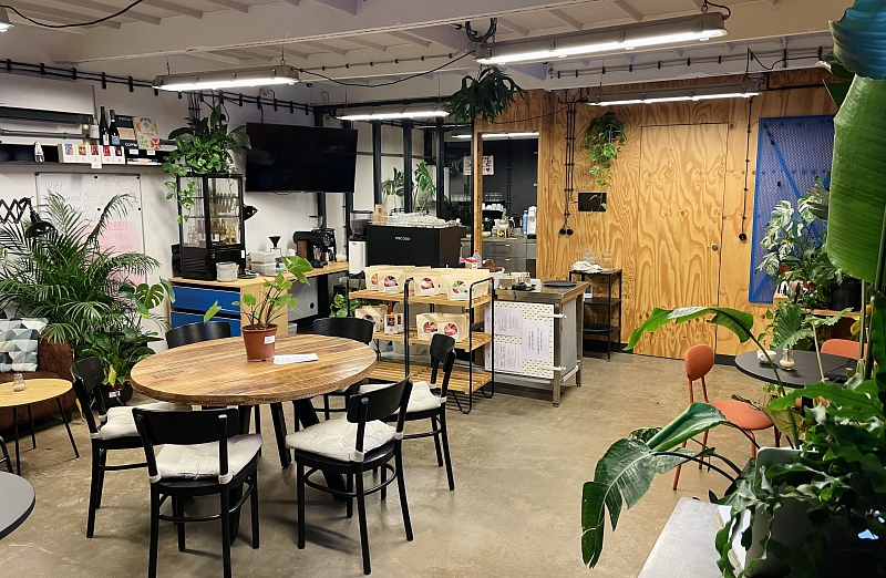 Jungle Roastery | Svoboda & Williams